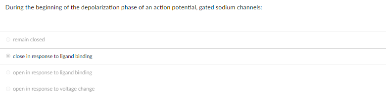 Solved During the beginning of the depolarization phase of | Chegg.com