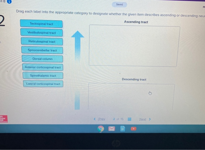 Solved Saved H 2 Drag each label into the appropriate | Chegg.com