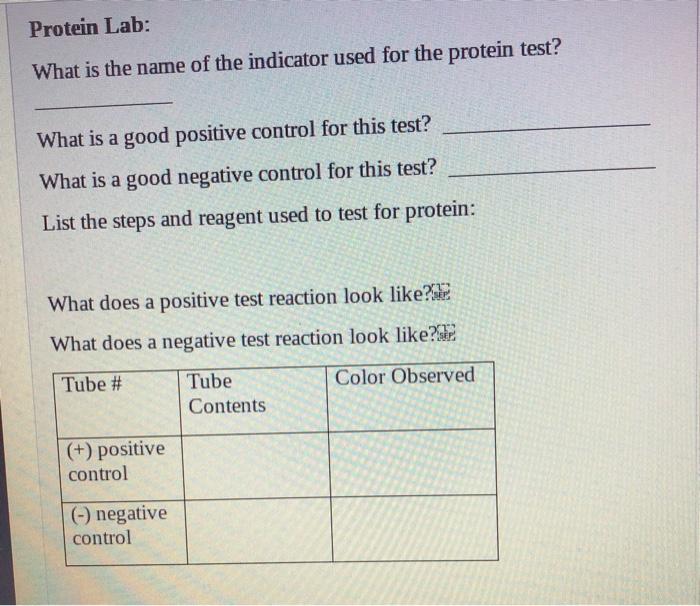 Solved Protein Lab: What is the name of the indicator used | Chegg.com