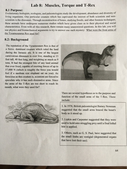 Solved Lab 8: Muscles, Torque and T-Rex 8.1 Purpose: | Chegg.com