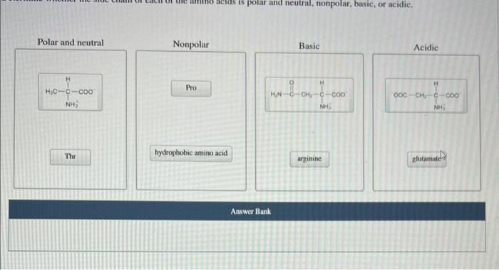 Solved Polar and neutral Nonpolar Basic Acidic | Chegg.com