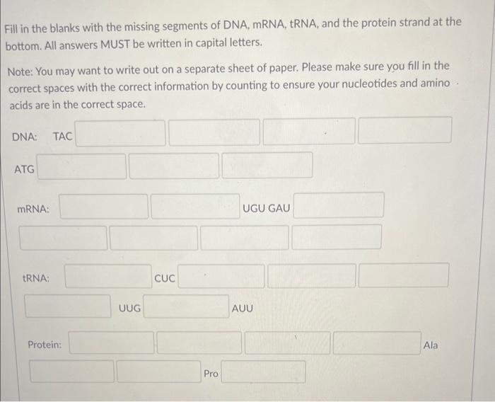 Solved ill in the blanks with the missing segments of DNA, | Chegg.com