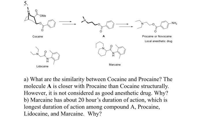 Solved Cocaine A Procaine or Novocaine Local anesthetic dng | Chegg.com
