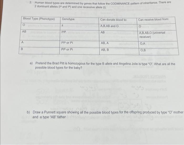 Solved 2. Human blood types are determined by genes that | Chegg.com