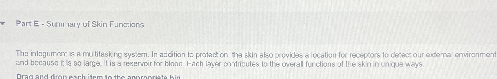 Solved Part E - ﻿Summary of Skin FunctionsThe integument is | Chegg.com