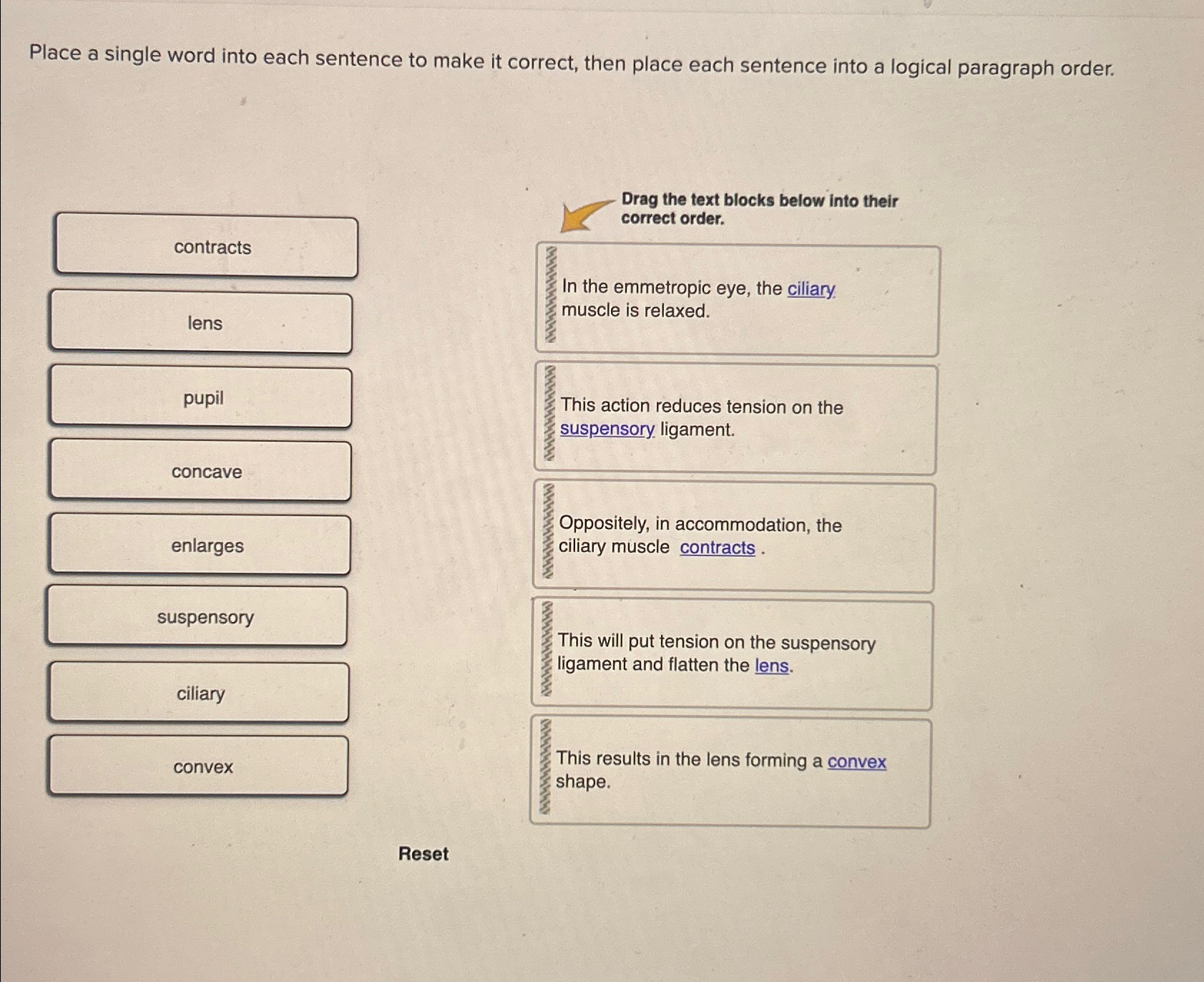 Solved Place a single word into each sentence to make it | Chegg.com