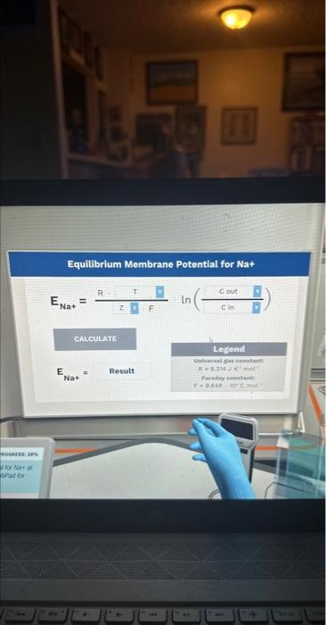 Solved ENa+=z⋅R⋅FR | Chegg.com