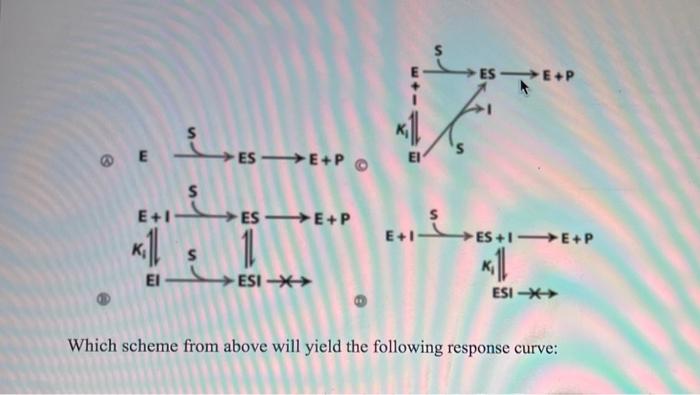 Solved ESEP CE 제 →ES→E+P ΕΙ o s E+1 →ES→E+P ES+ IE+P k1 EI | Chegg.com