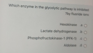 Solved Which enzyme in the glycolytic pathway is inhibited | Chegg.com