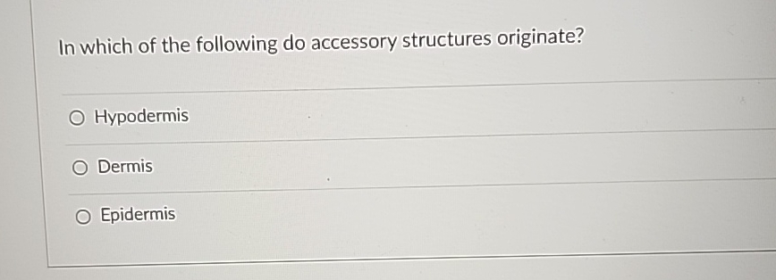 Solved In which of the following do accessory structures | Chegg.com