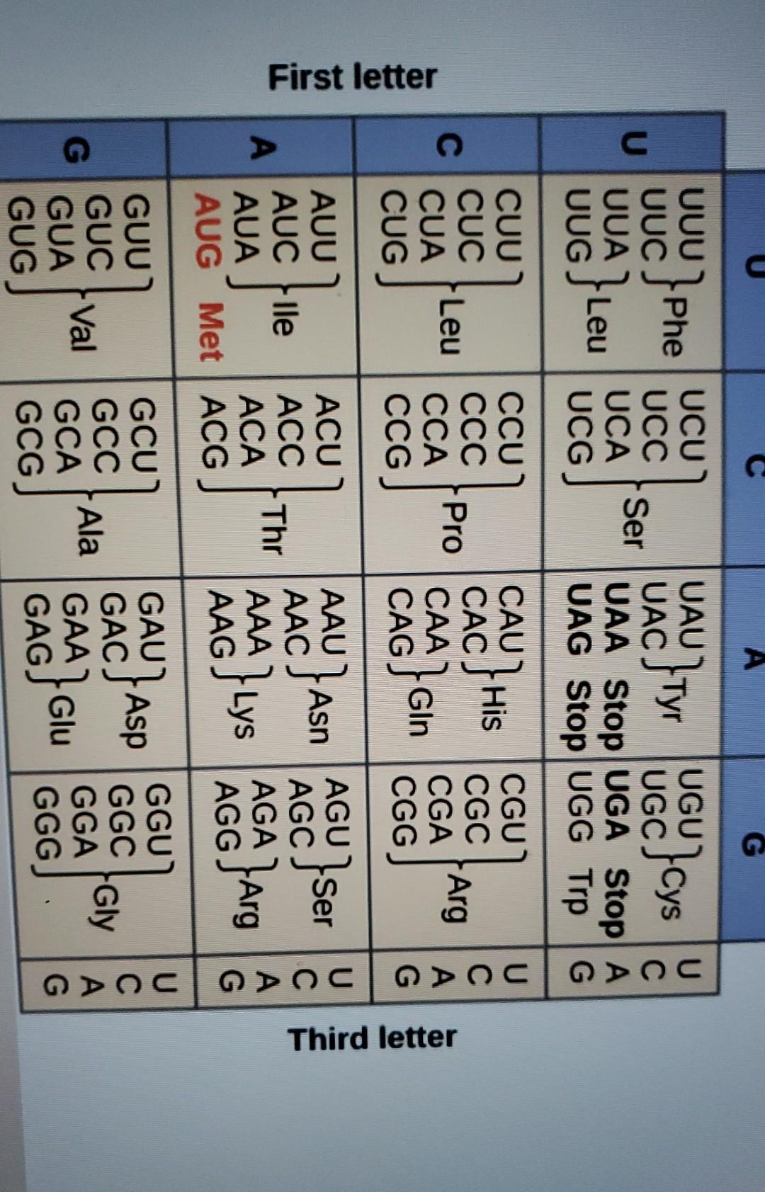 Solved DNA template normal sequence: 3' TAC CCC AAT AGG ACT | Chegg.com