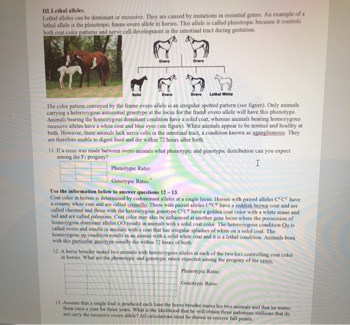 Solved TIL. Lethal alleles. Lethal alleles can be dominant | Chegg.com