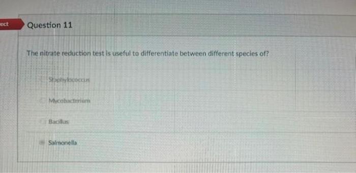 What does the enryme urease do to urea? it convers | Chegg.com