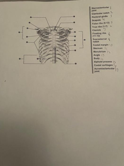 Solved please label | Chegg.com