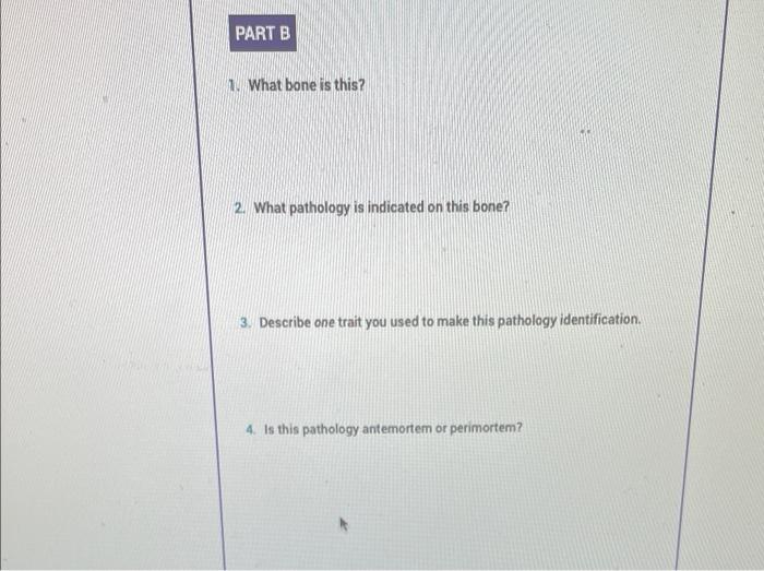 EXERCISE 7 PATHOLOGY PARTA Figure Credit: Courtesy of | Chegg.com