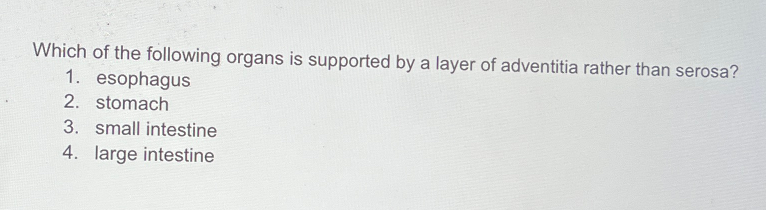 Solved Which of the following organs is supported by a layer | Chegg.com