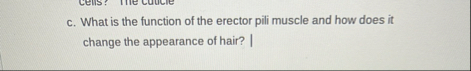 Solved c. ﻿What is the function of the erector pili muscle | Chegg.com