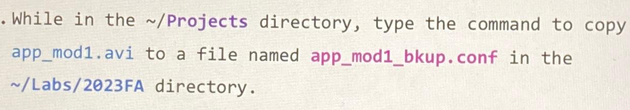 Solved While in the ?? ﻿Projects directory, type the command | Chegg.com