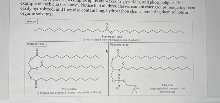 Hand draw and upload directly into the discussion an | Chegg.com
