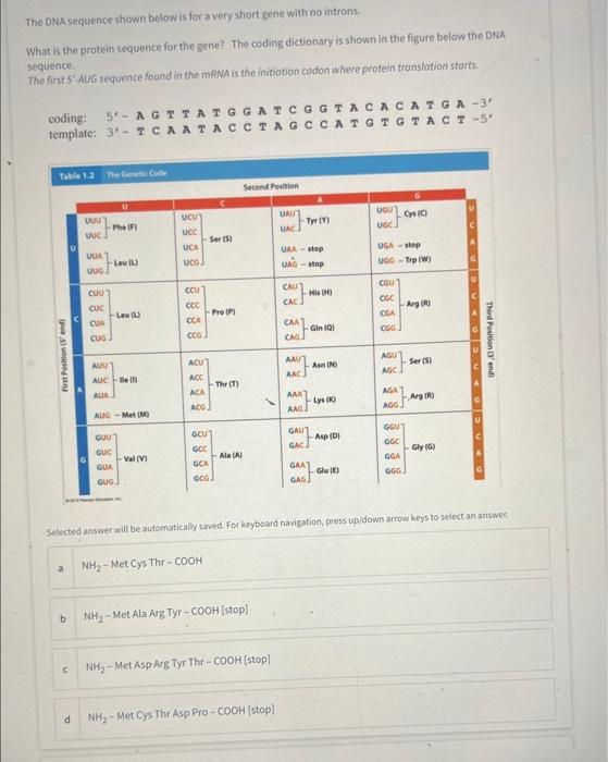 Solved The DNA sequence shown below is for a very short gene | Chegg.com