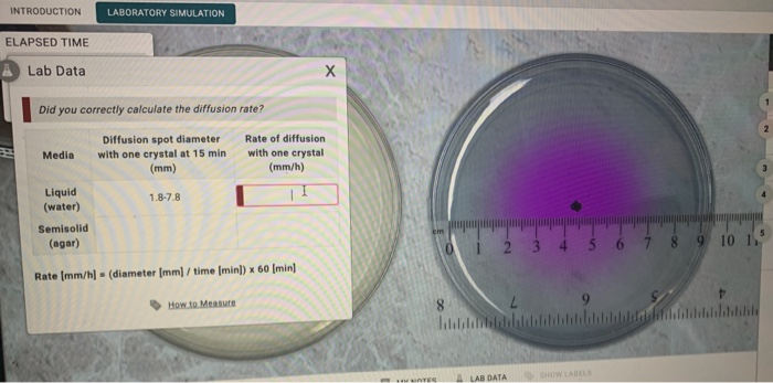 ELAPSED TIME Lab Data Х Media Diffusion spot diameter | Chegg.com