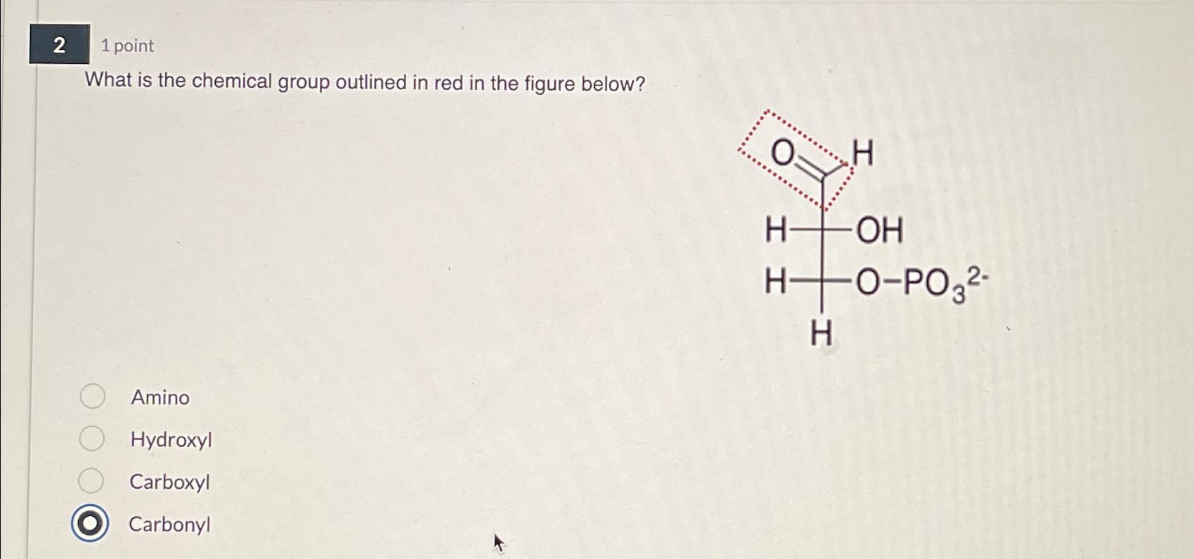 Solved 21 ﻿pointWhat is the chemical group outlined in red | Chegg.com