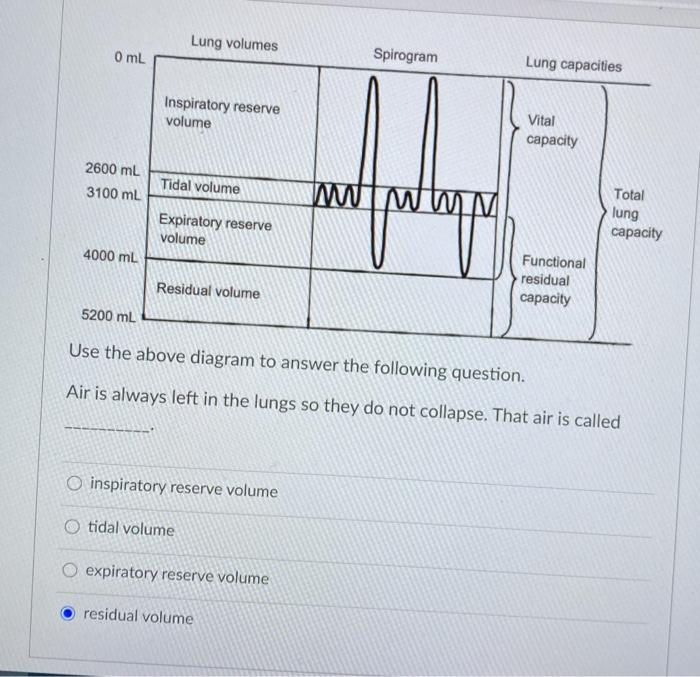 Solved Lung volumes O mL Spirogram Lung capacities | Chegg.com
