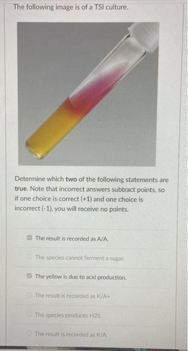 Solved The following image is of a TSI culture. Determine | Chegg.com