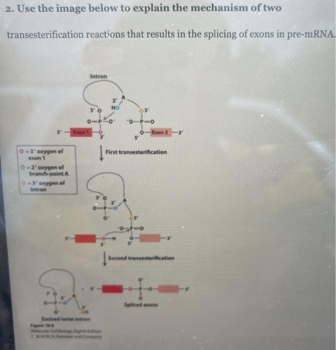 Solved 2. Use the image below to explain the mechanism of | Chegg.com