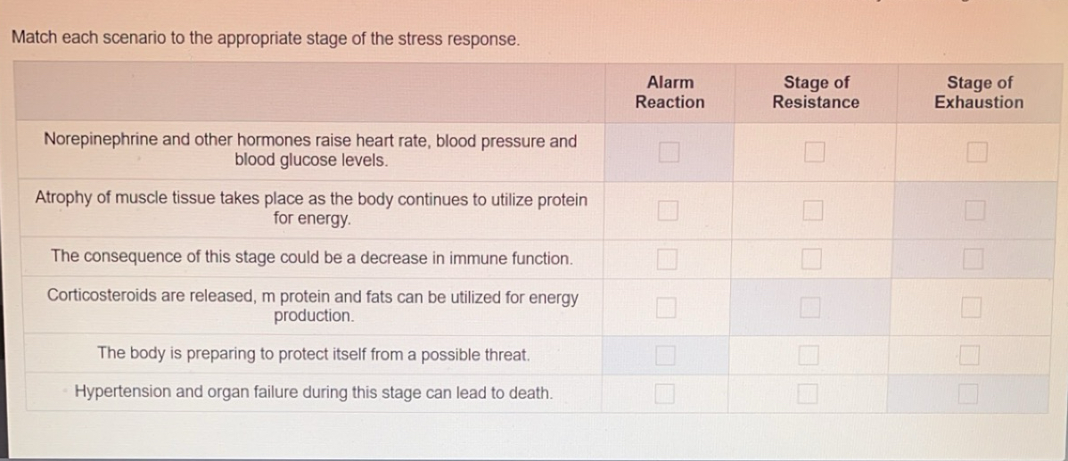 Solved Match each scenario to the appropriate stage of the | Chegg.com
