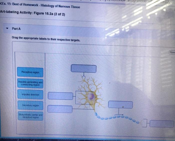 Solved Question | Chegg.com