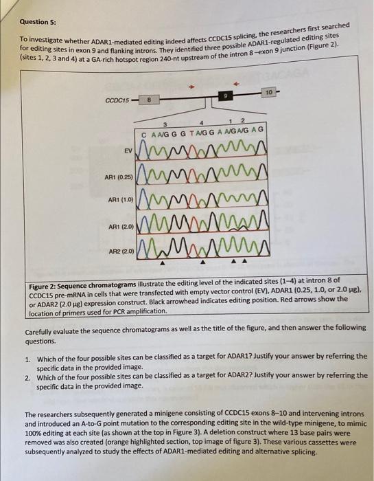 Question 5: for editing sites in exon 9 and flanking | Chegg.com