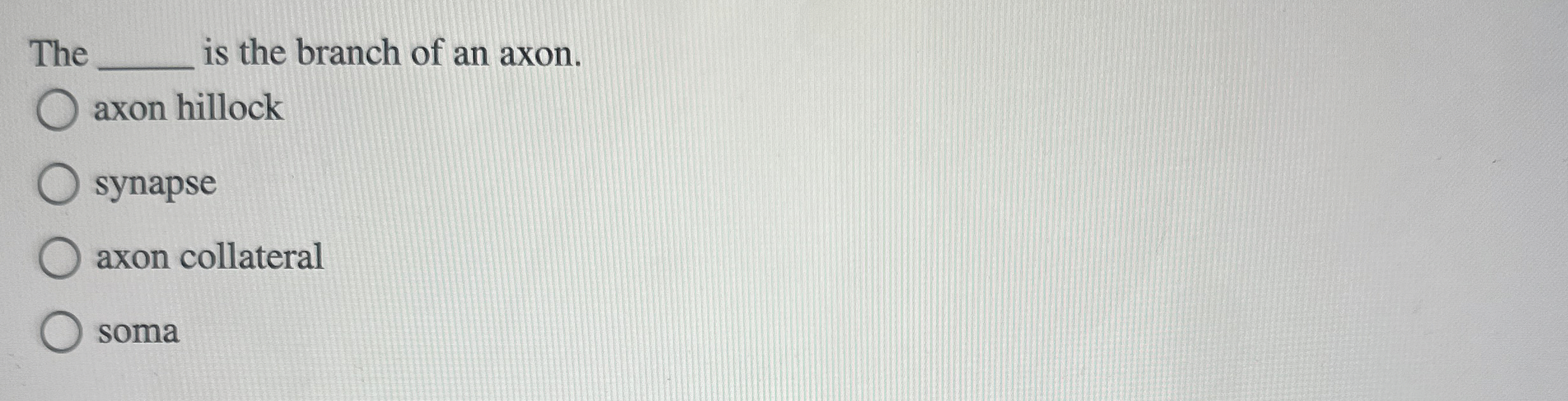 Solved Theis the branch of an axon.axon hillocksynapseaxon | Chegg.com