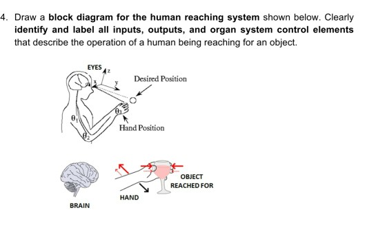 Solved 4. Draw a block diagram for the human reaching system | Chegg.com