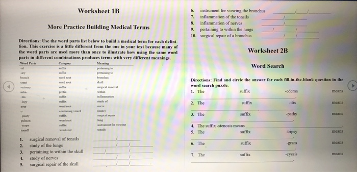 Solved Worksheet 1B More Practice Building Medical Terms 6. | Chegg.com