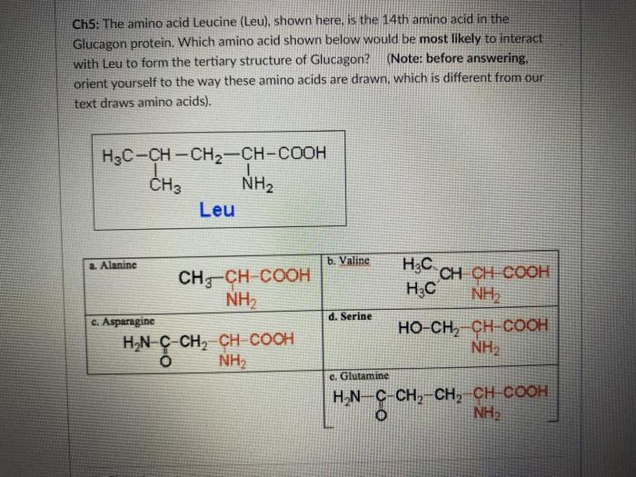 Solved Ch5: The molecule shown here is likely to be H₂C CH3 | Chegg.com