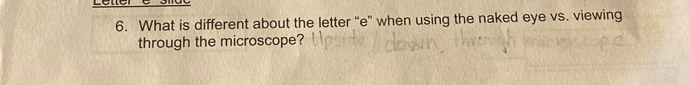 Solved What is different about the letter "e" ﻿when using | Chegg.com