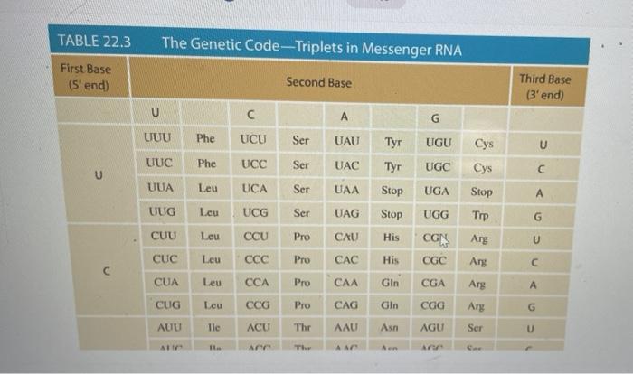 Solved Consider a template strand of DNA with the following | Chegg.com