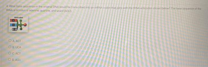 Solved 1. Which mRNA sequence complements the DNA sequence | Chegg.com