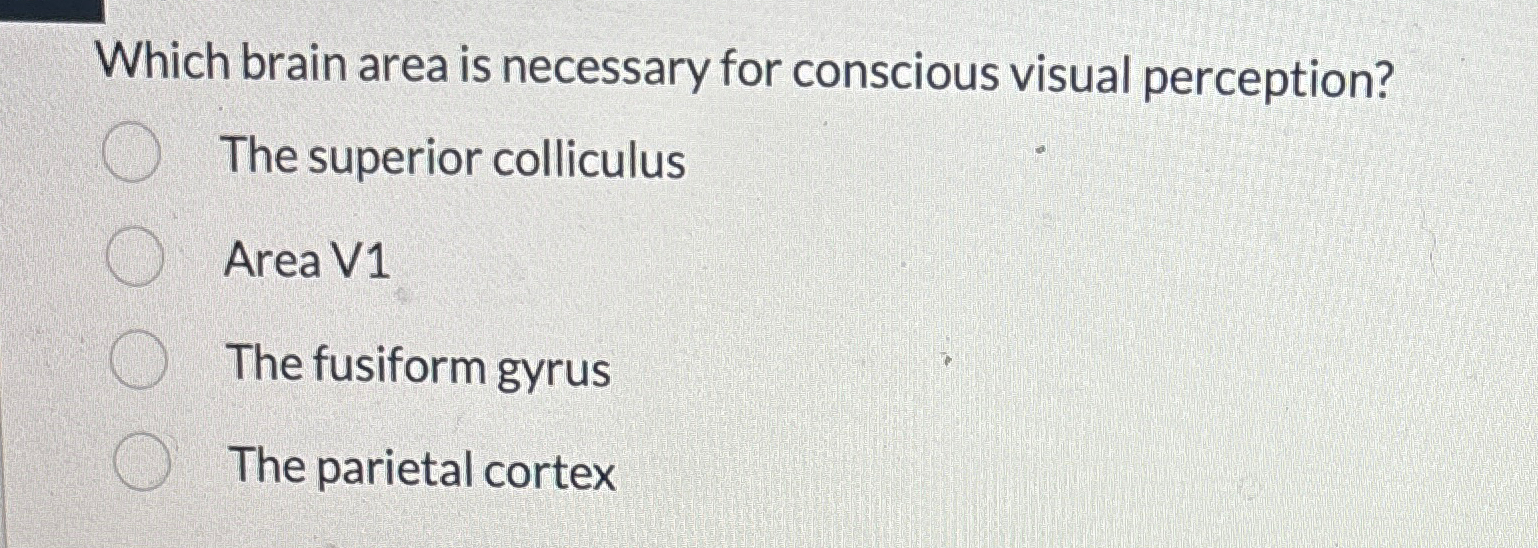 Solved Which brain area is necessary for conscious visual | Chegg.com