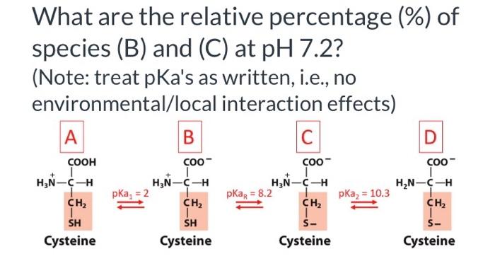 Solved What are the relative percentage (\%) of species (B) | Chegg.com