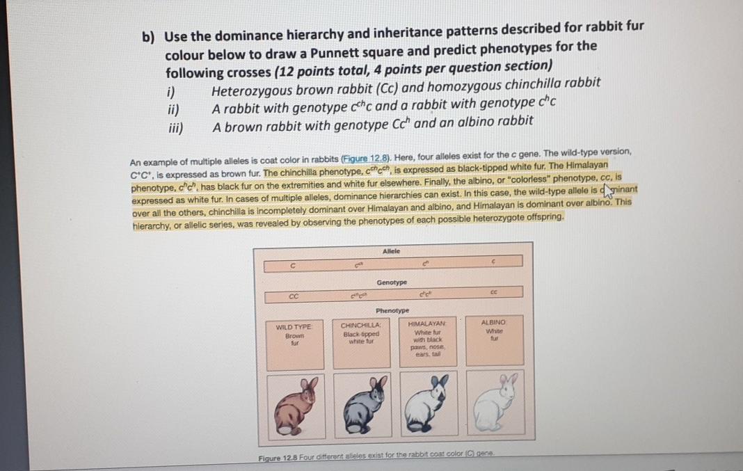 Solved b) Use the dominance hierarchy and inheritance | Chegg.com