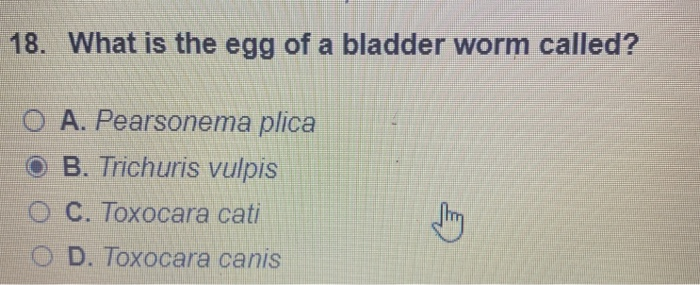 Solved 18. What is the egg of a bladder worm called? A. | Chegg.com