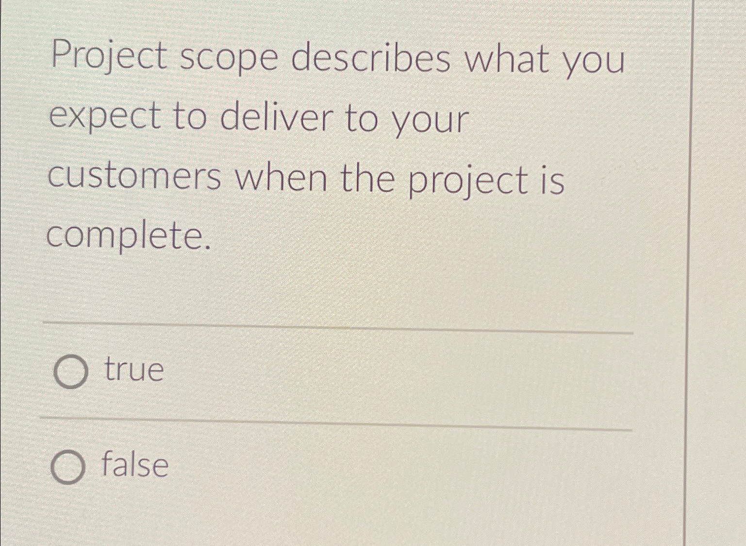 Solved Project scope describes what you expect to deliver to | Chegg.com