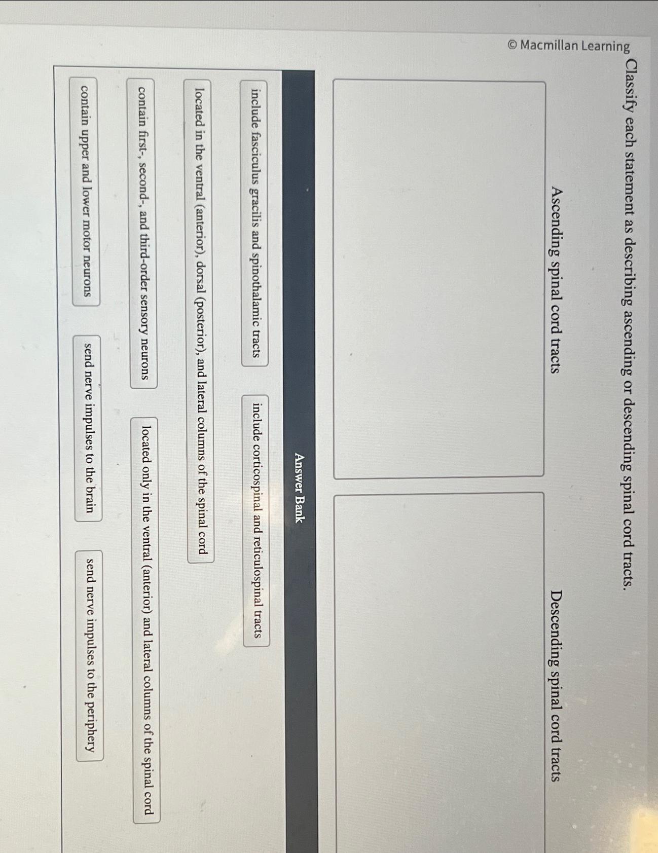 Solved Classify each statement as describing ascending or | Chegg.com