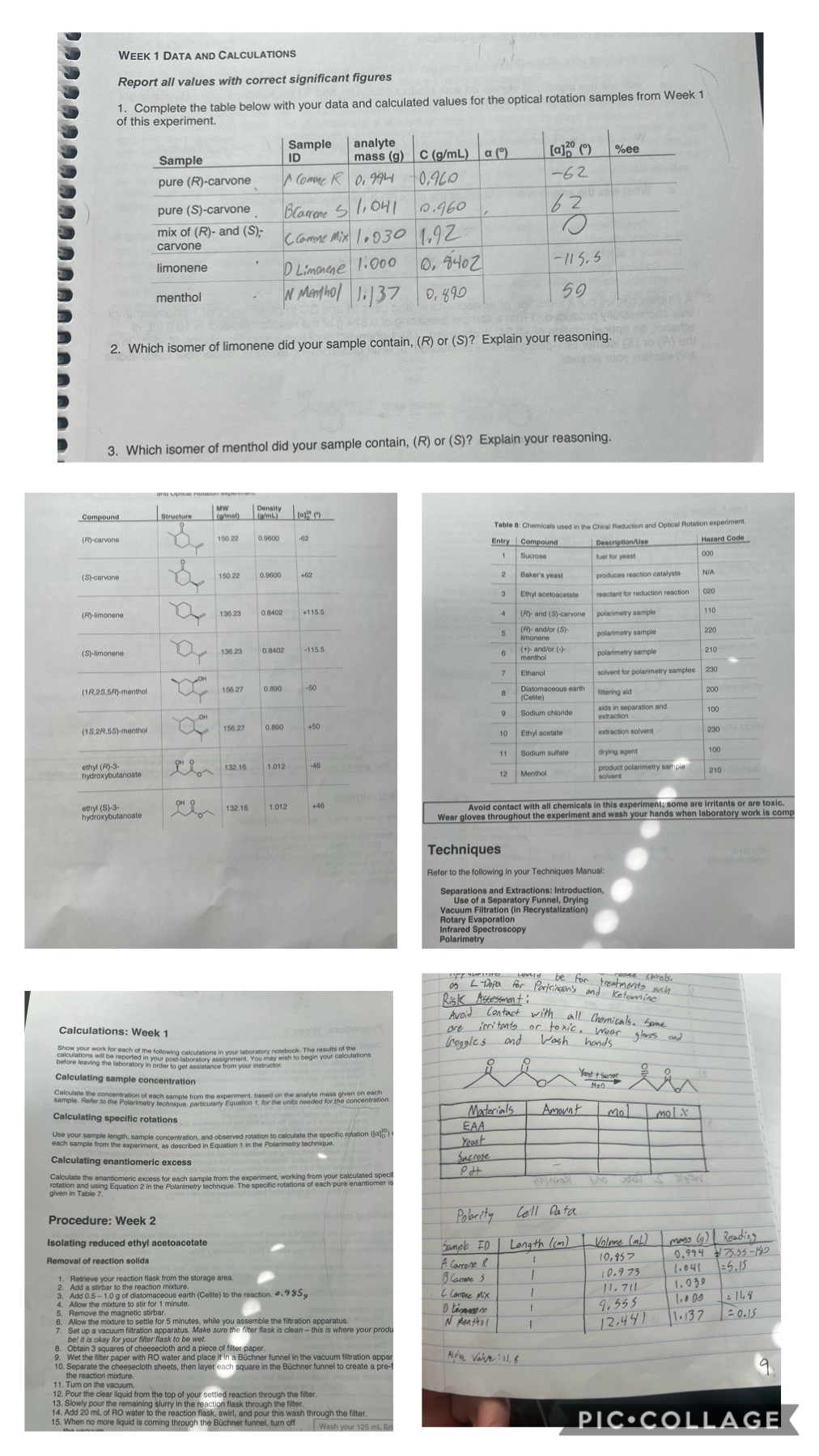 Solved Week 1 ﻿Data and CalculationsReport all values with | Chegg.com