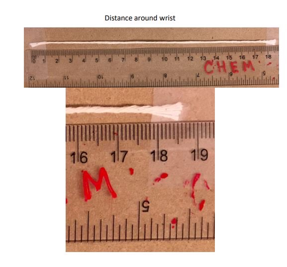 Solved Name Date Section Instructor Team REPORT SHEET | Chegg.com