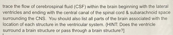 Solved trace the flow of cerebrospinal fluid (CSF) within | Chegg.com