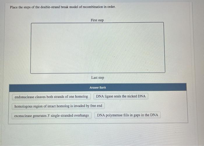 Solved Classify cach mutation example as definitely | Chegg.com