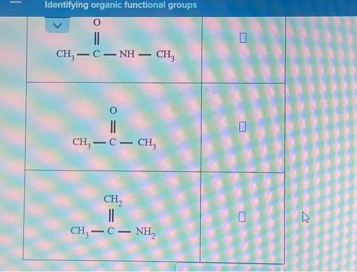 Solved Identifying organic functional groups O || CH,−C−NH — | Chegg.com